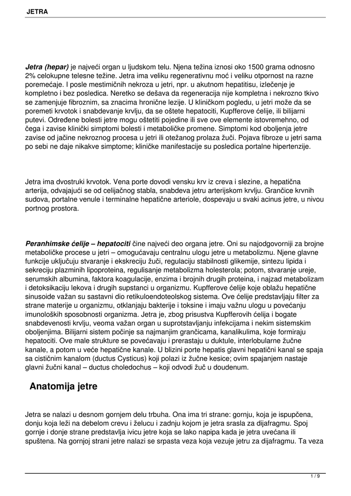 Arterijaanatomijezeluca